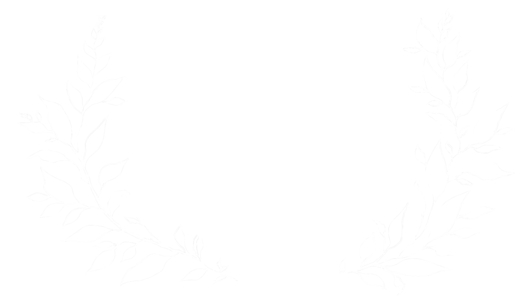 Medeski Martin & Wood doc ‘NOT NOT JAZZ’ selected for the 2024 Big Ears ...