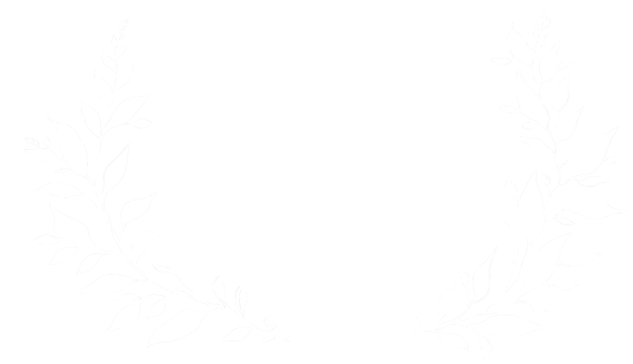 Medeski Martin & Wood doc ‘NOT NOT JAZZ’ selected for the 2024 Big Ears ...